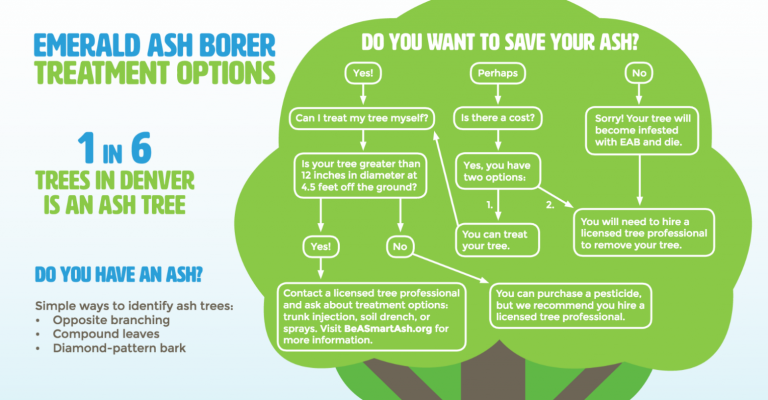 Treatment Options EAB | Be a Smart Ash