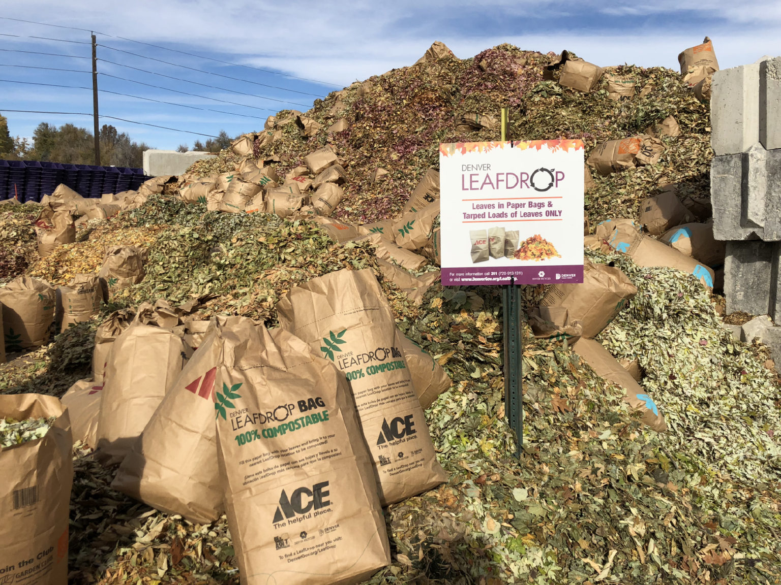 We re Falling For Compost Be A Smart Ash we-re-falling-for-compost-be-a-smart-ash
